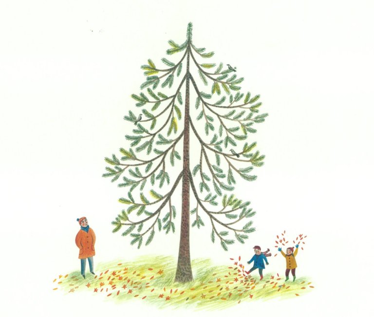 The Christmas Eve Tree – Emily Sutton Q&A – Tyger Tale