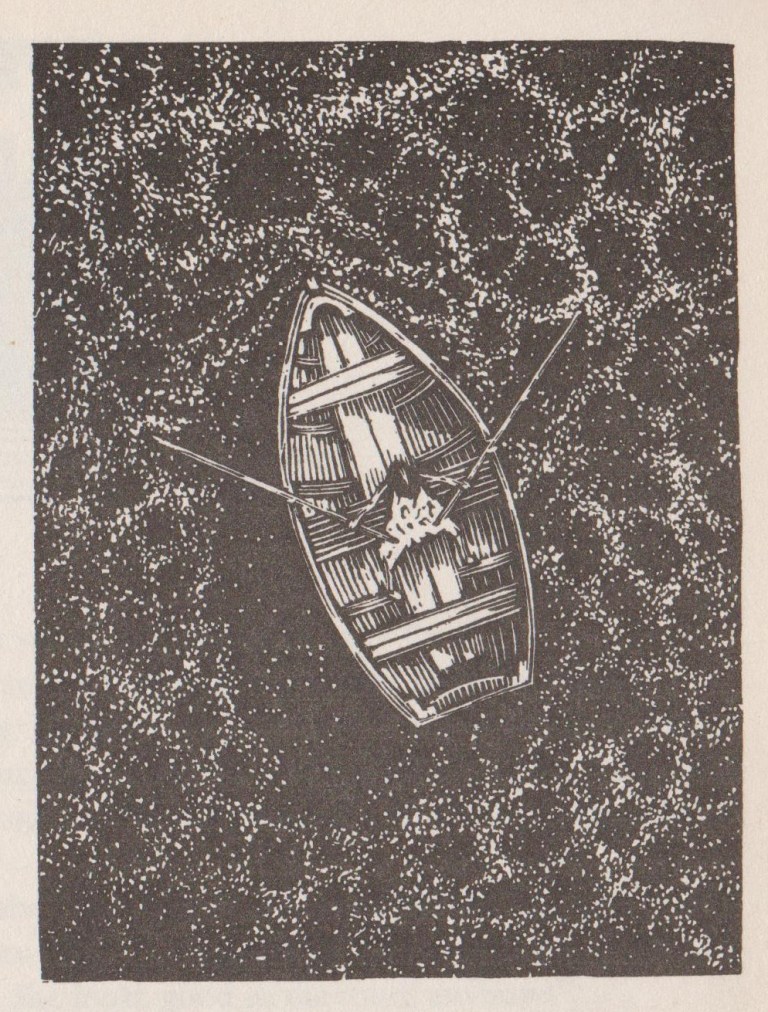 Floodland by Marcus Sedgwick – Tyger Tale