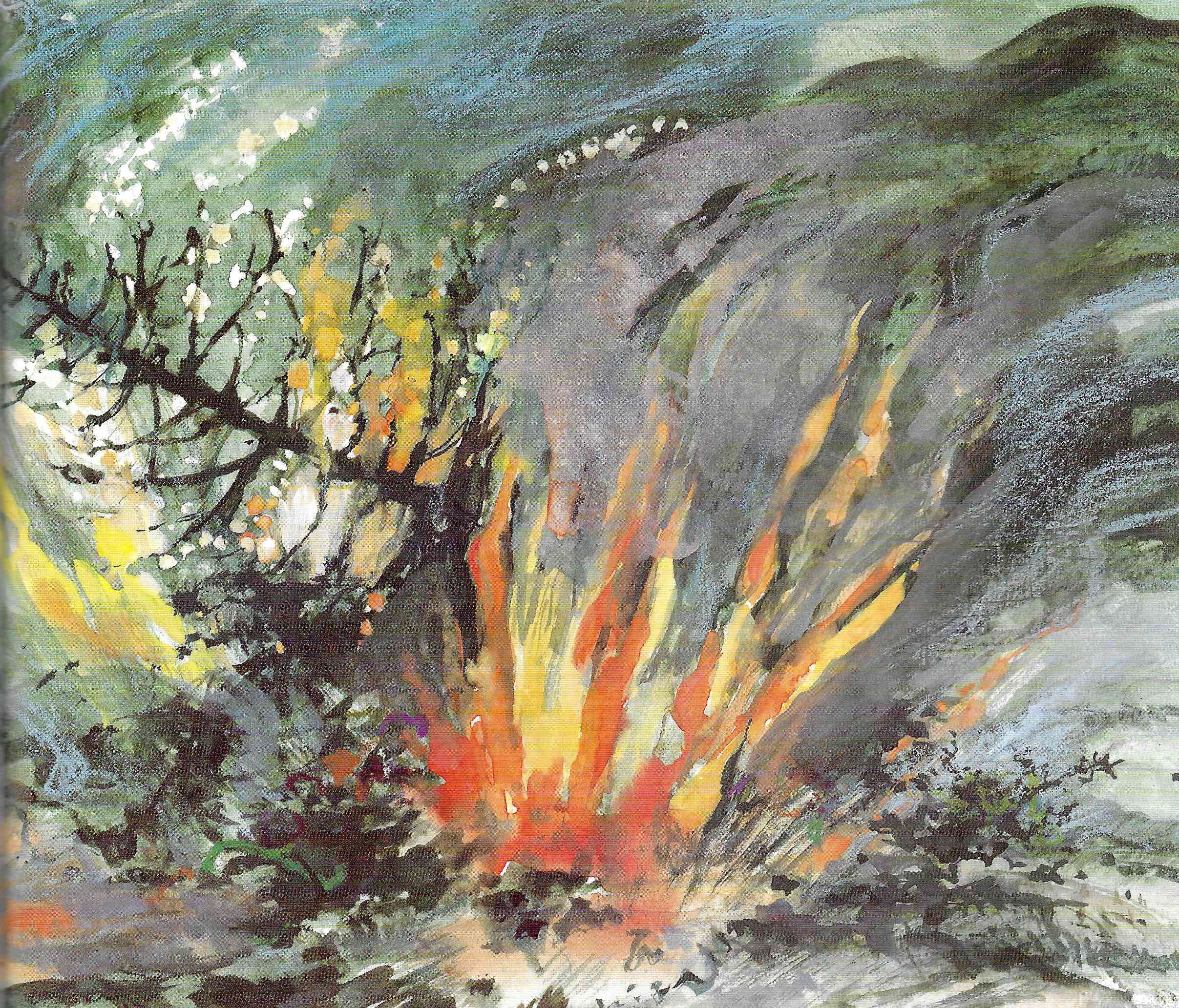 Burning The Tree By Shirley Hughes Tyger Tale