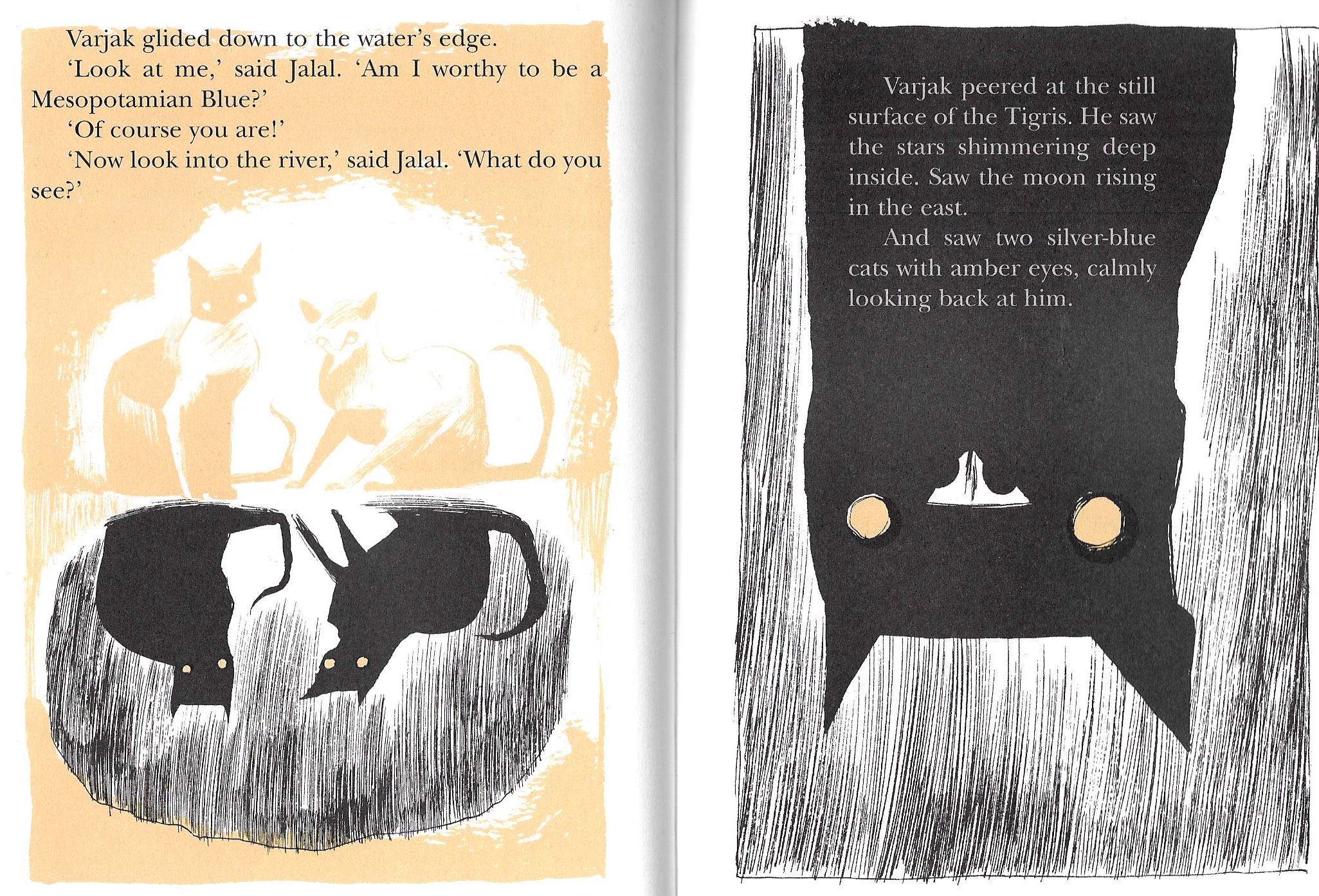 Varjak Dreamed – SF Said & Dave McKean’s Varjak Paw in colour – Tyger Tale