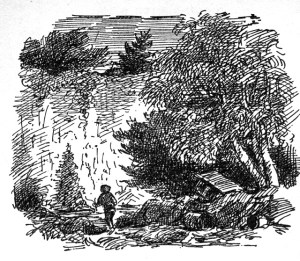 Stig of the Dump by Clive King – Tyger Tale