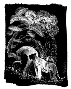 Tyger by SF Said and Dave McKean – Tyger Tale